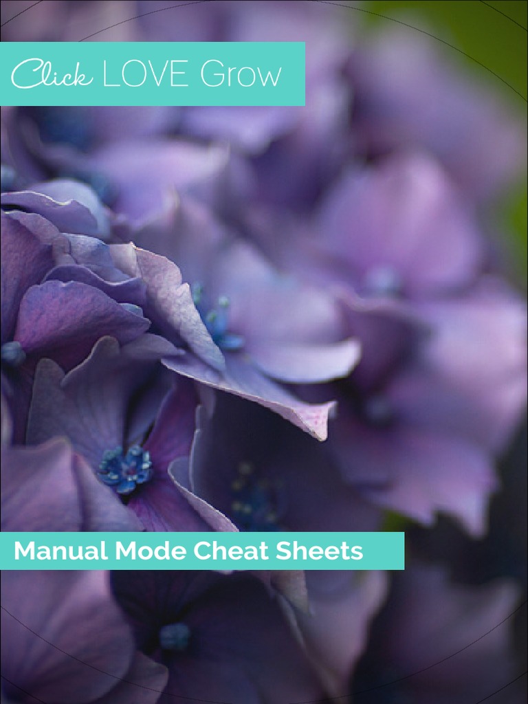 CLG Manual Settings Cheatsheets | PDF CLG Manual Settings Cheatsheets | PDF