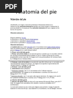 Anatomía del Maléolo Interno del Tobillo | PDF | Tobillo | Anatomía del ...