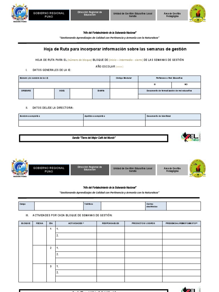 Hoja de Ruta para Incorporar Información Sobre Las Semanas de Gestión | PDF