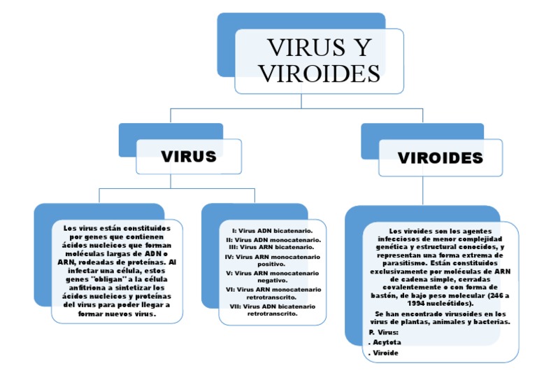 Estructura y Tipos de Virus y Viroides | PDF