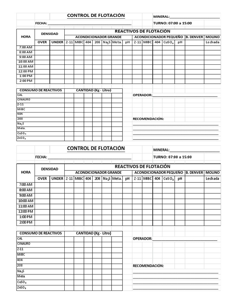 Formato de Control de Flotación | PDF
