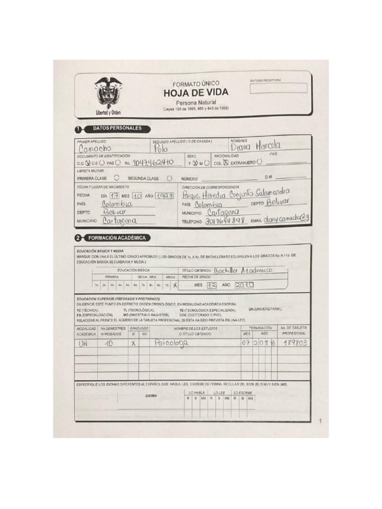 HDV Formato Persona Natural | PDF