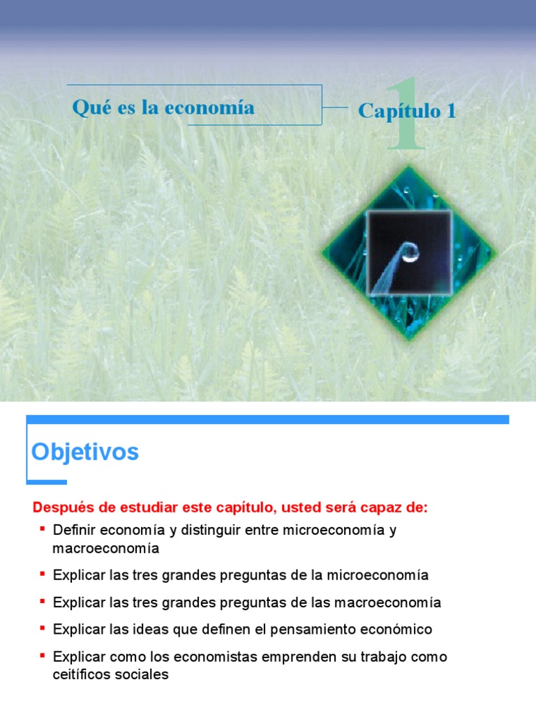 Ch01 Que Es Economia | PDF | Costo de la vida | Ciencias económicas