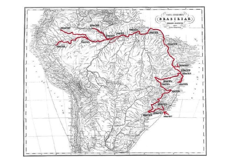 Martius and Spix Route in Brazil 1817-1820 | PDF