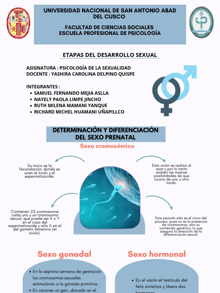 Etapas de Desarrollo Sexual. | PDF