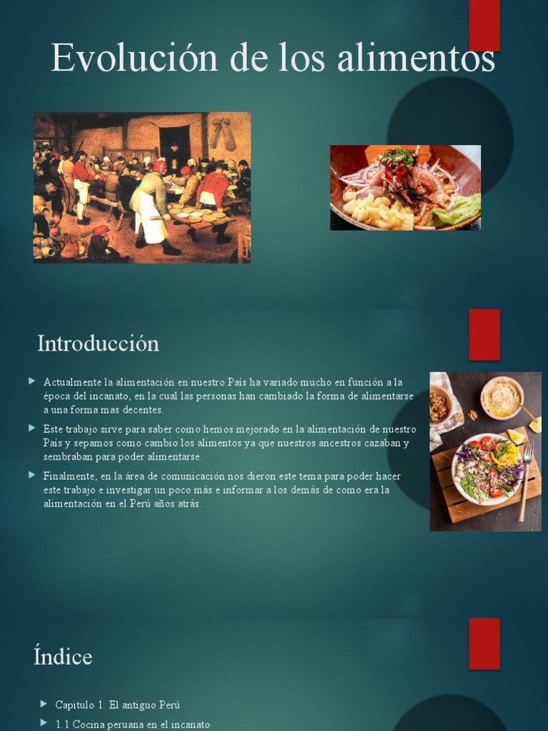 Evolución de Los Alimentos | PDF | Alimentos | Comida y bebida