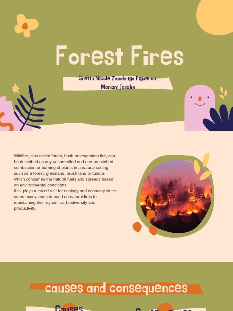 Forest Fires Presentation | PDF