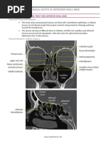 Sinuses Positioning Chart | PDF | Skull | Human Nose