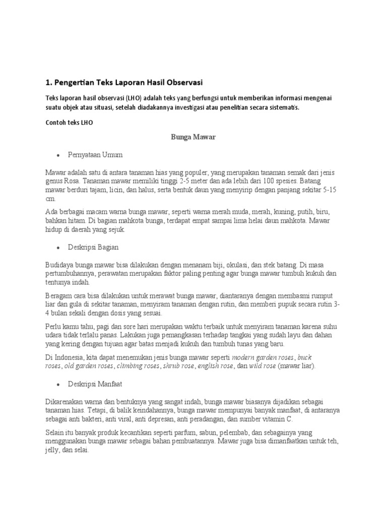 Laporan Hasil Observasi | PDF