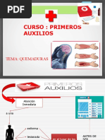 Regla de los 9 en quemaduras | PDF