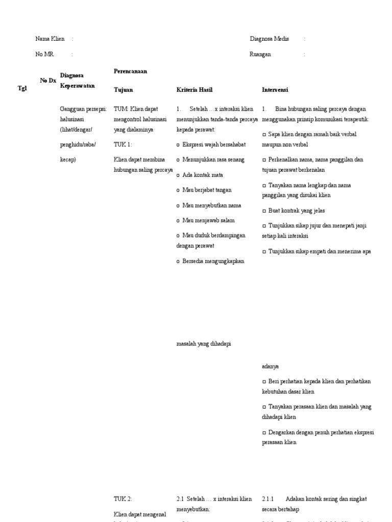 Contoh Perencanaan Halusinasi | PDF