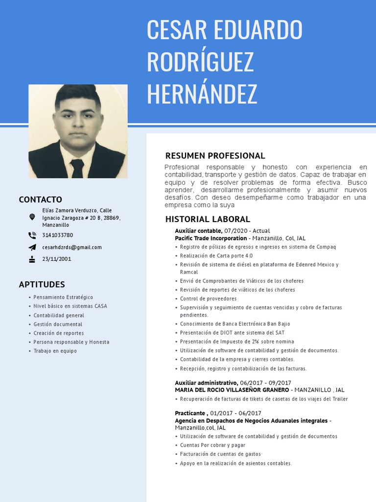 Cesar Eduardo RDZ CV - 3 | PDF