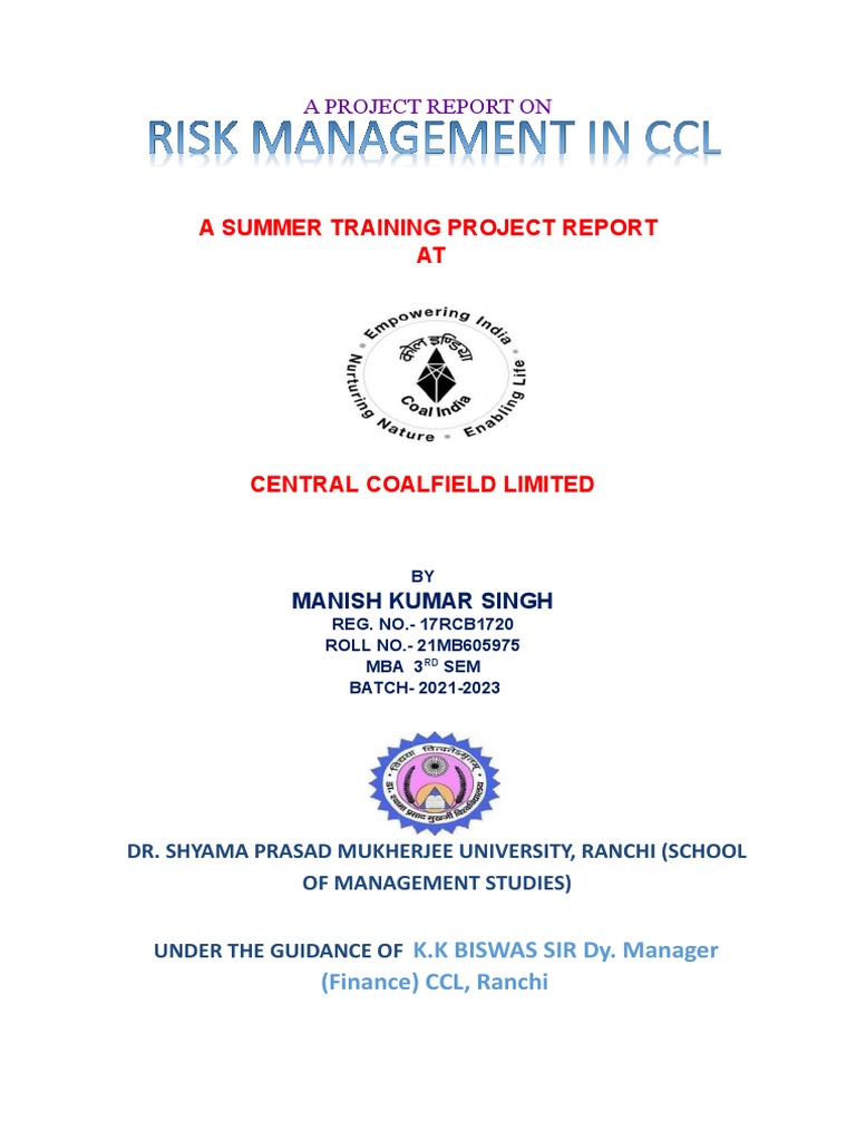 Manish Final Project | PDF | Risk | Risk Management