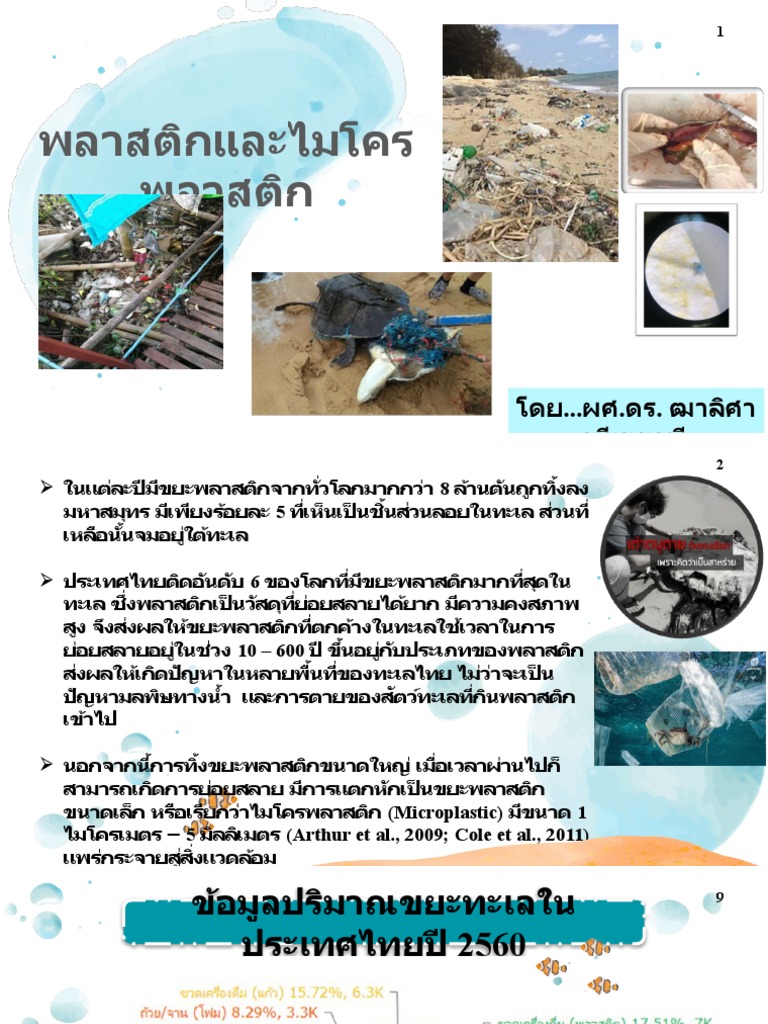Microplastic 3 | PDF