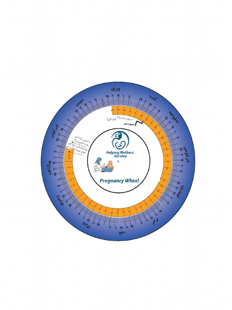 47 - EDD Wheel - Pashto | PDF