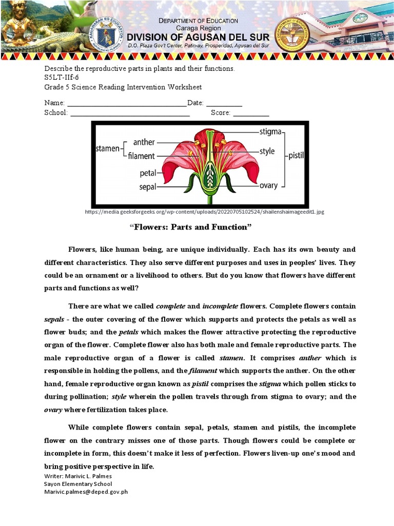S5LT-IIf-6 - Flower's Parts and Functions | PDF
