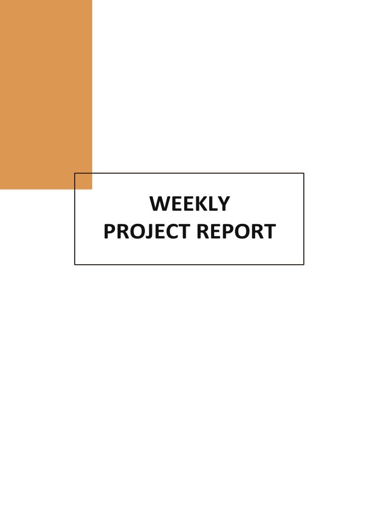 Weekly Project Report | PDF