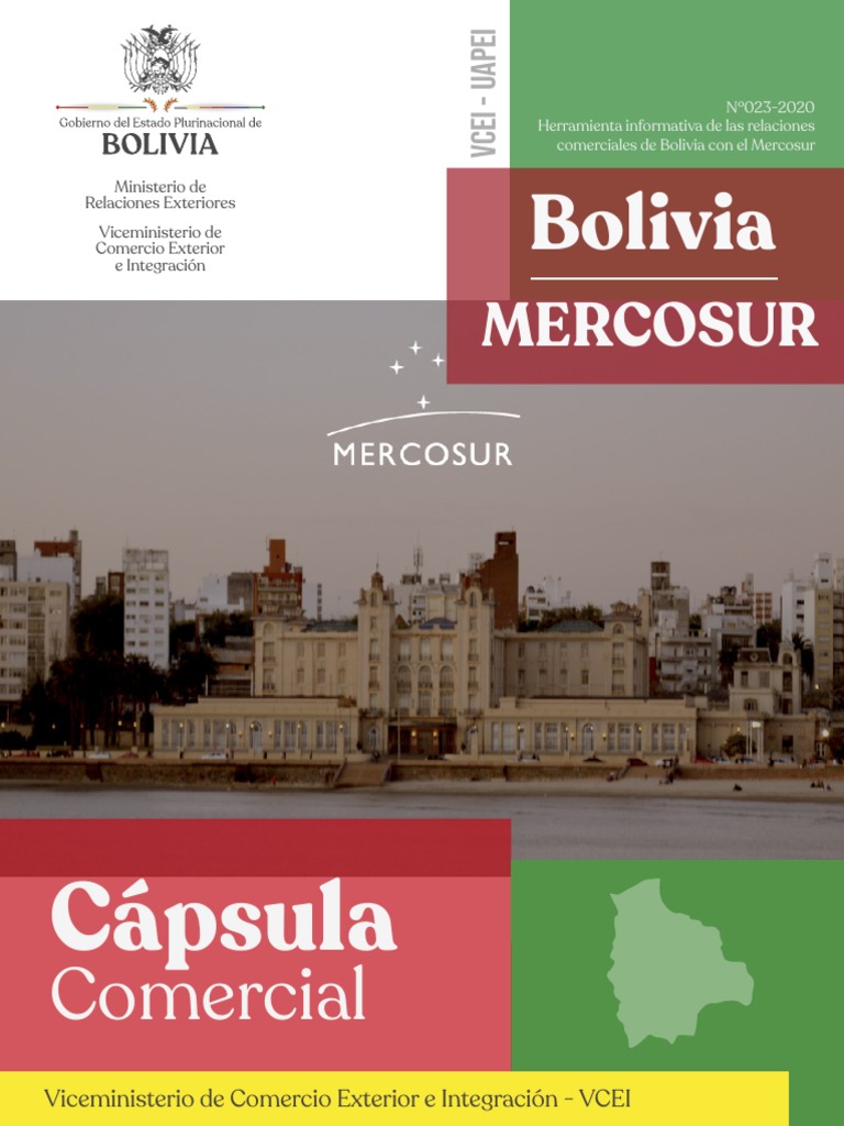 N° 023 - 2020 Mercosur | PDF