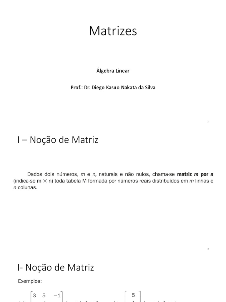 Capítulo 01 - Matrizes | PDF