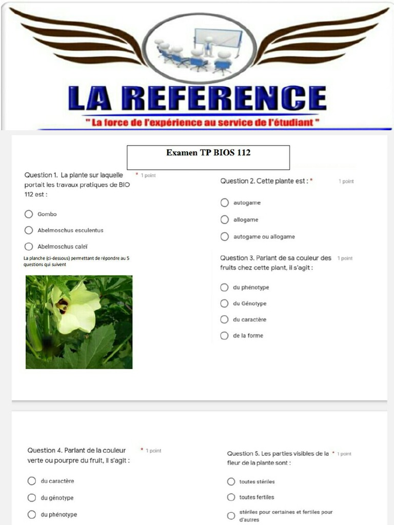 TP Bio 112 Examen Grpe La Référence | PDF