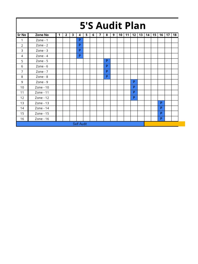 5'S Audit Plan | PDF