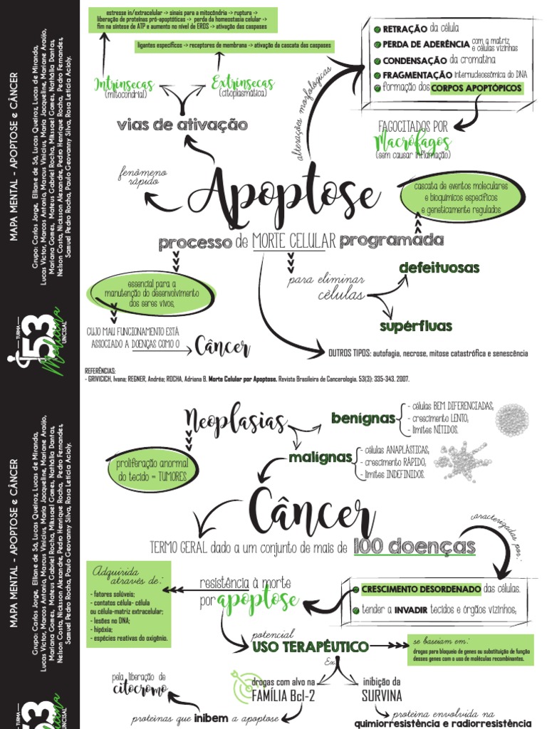 MAPA MENTAL - APOPTOSE e CÂNCER | PDF | Apoptose | Biologia Celular