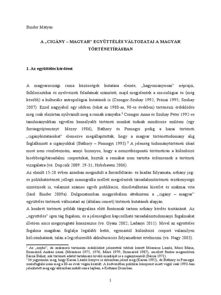Binderm A Cigány Magyar Együttélés A Történetírásban Pdf