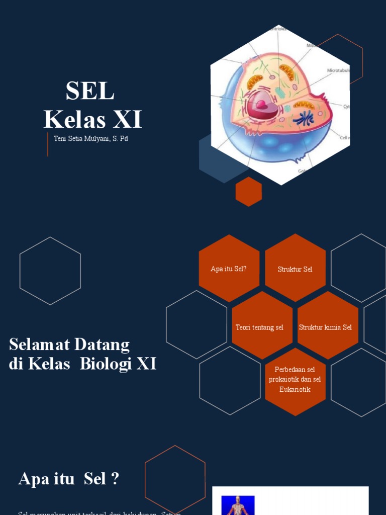 SEL Kelas XI: Teni Setia Mulyani, S. PD | PDF