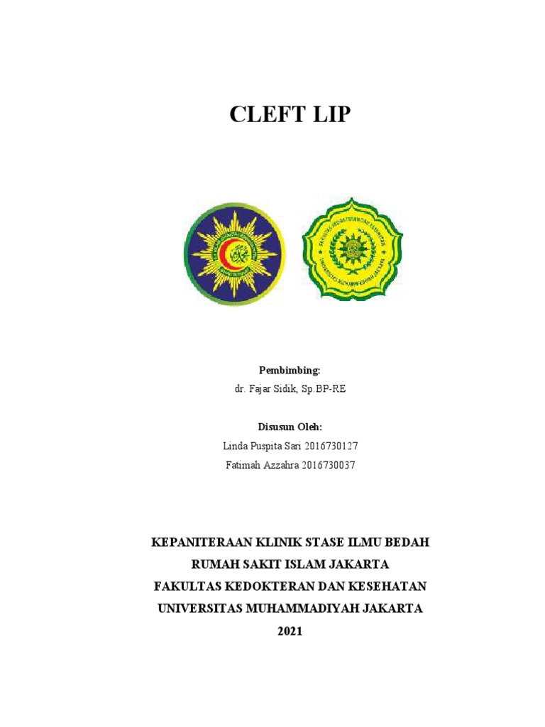 Cleft Lip PDF | PDF