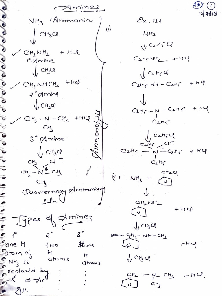 Ch-13 Amines | PDF