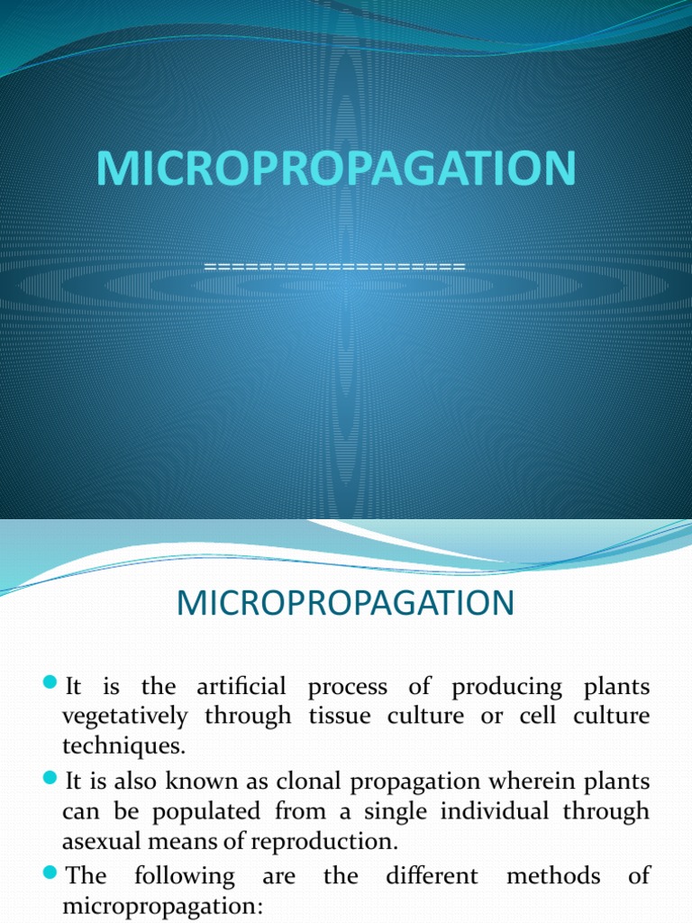 Micropropagation | PDF