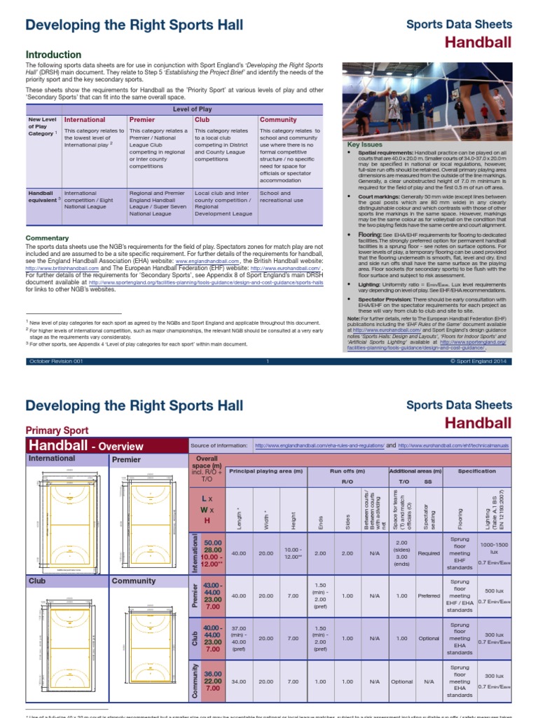 Handball Data Sheet 2014 | PDF