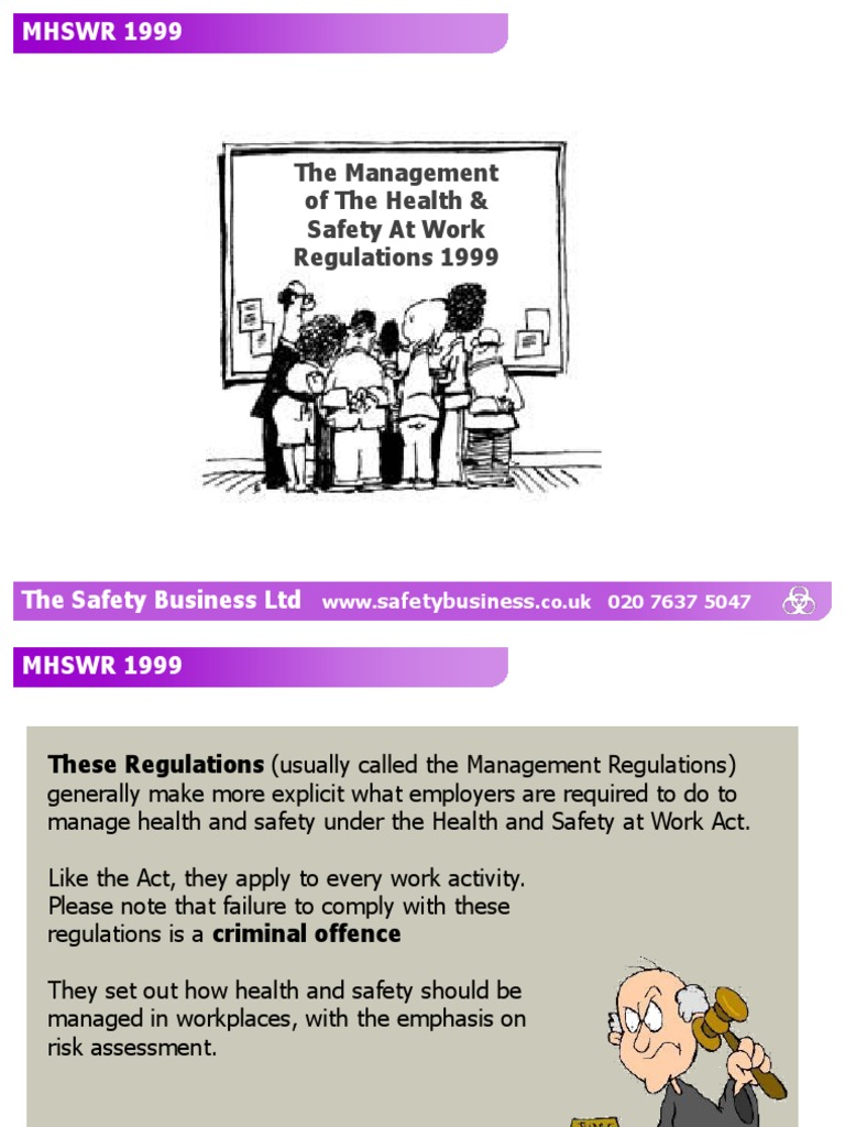 MHSWR 1999: Employer Safety Guide | PDF