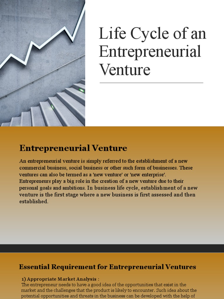 Life Cycle of An Entrepreneurial Venture | PDF | Entrepreneurship | Marketing