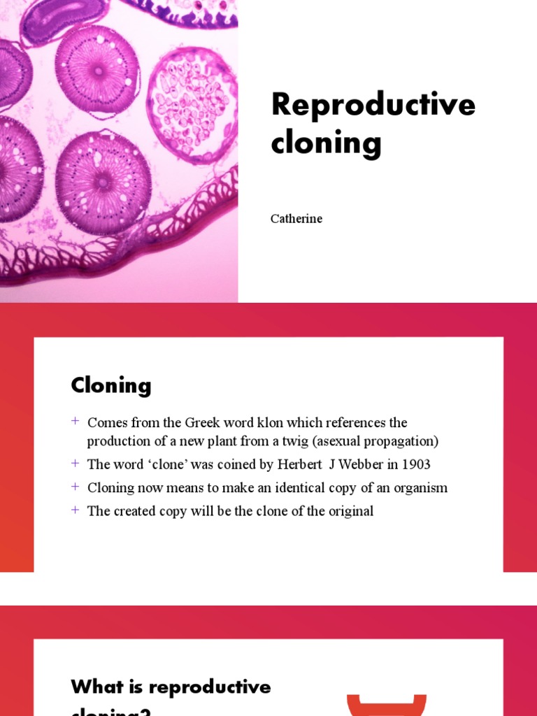 Reproductive Cloning | PDF | Wellness