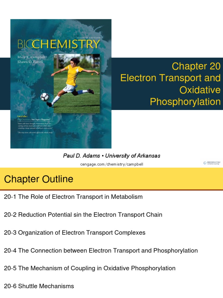 Electron Transport and Oxidative Phosphorylation: Paul D. Adams ...