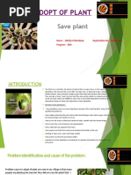 UU200 Tree Planting Report: Mangroves | PDF | Mangrove | Coral Reef