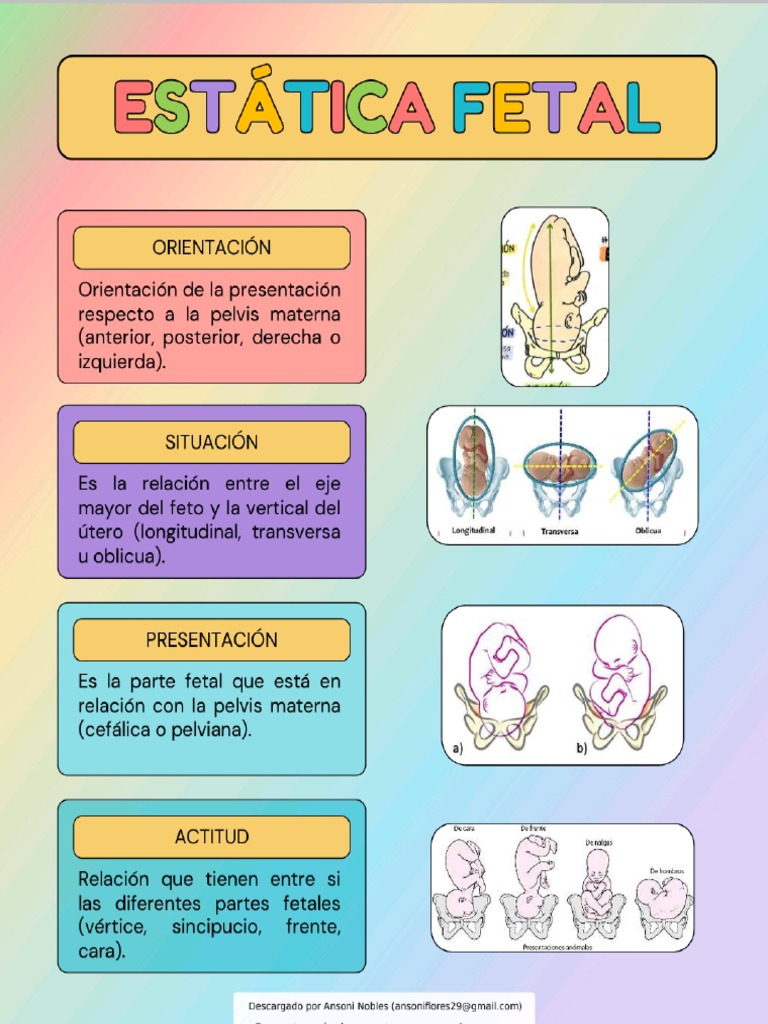 ESTATICA FETAL | PDF