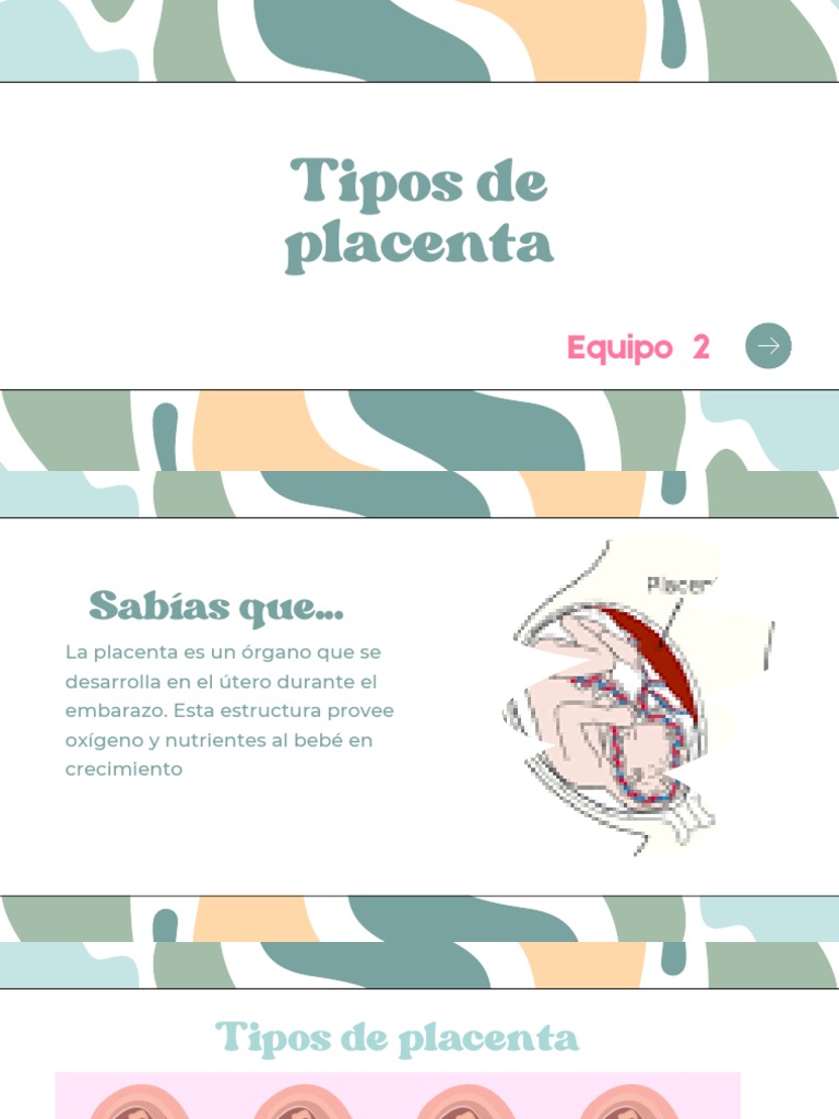 Tipos de Placenta | PDF
