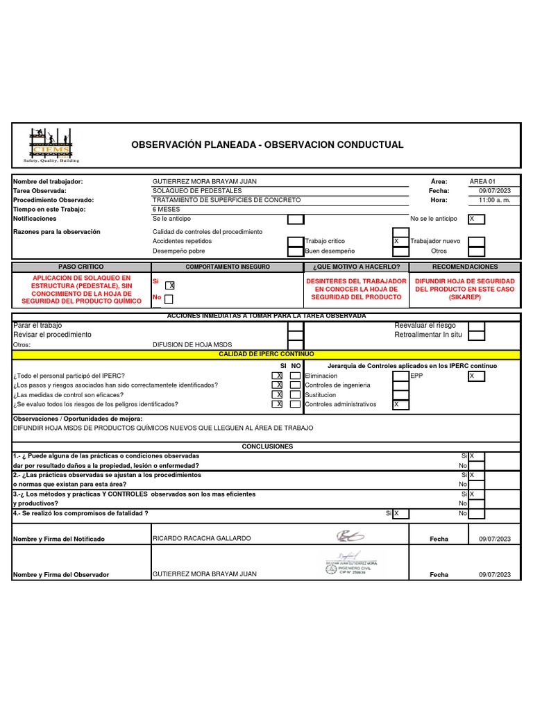 Formato OPT - CIEMS | PDF