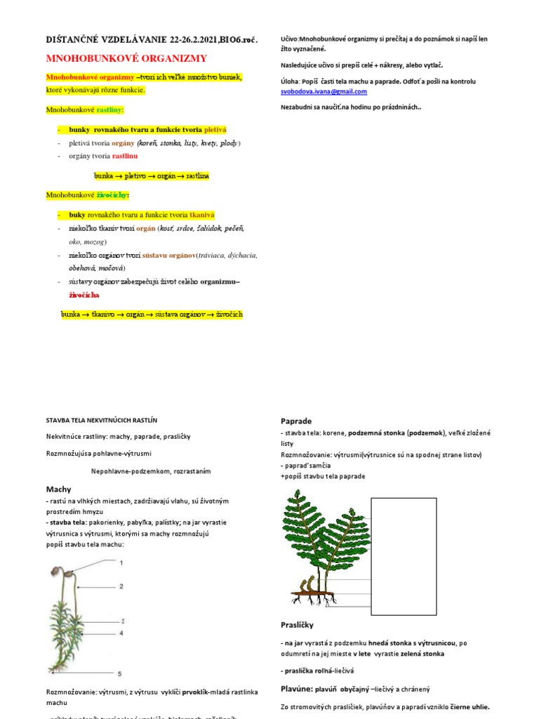 Bio 6.roc - Stavba Tela Nekvitnucich Rastlin-Poznamky | PDF
