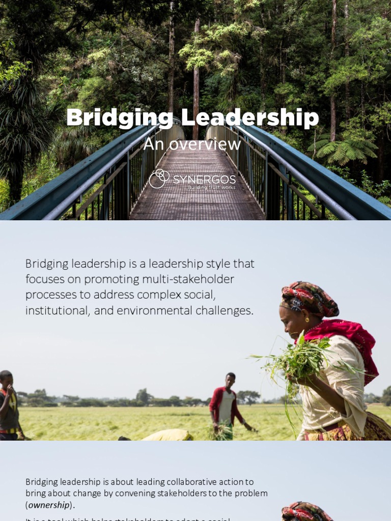 Bridging Leadership for Collaborative Change | PDF | Leadership | Expert