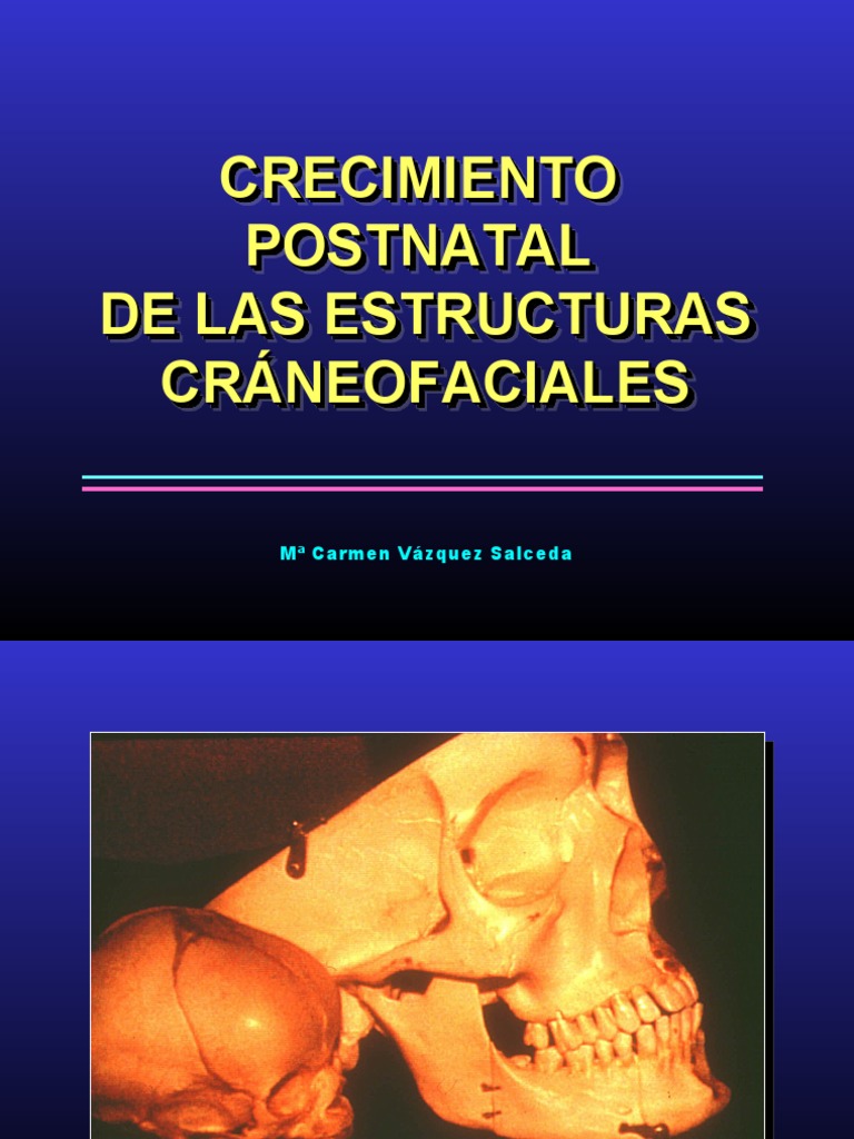 Crecimiento Craneofacial Postnatal | PDF | Cráneo | Cabeza y cuello humanos
