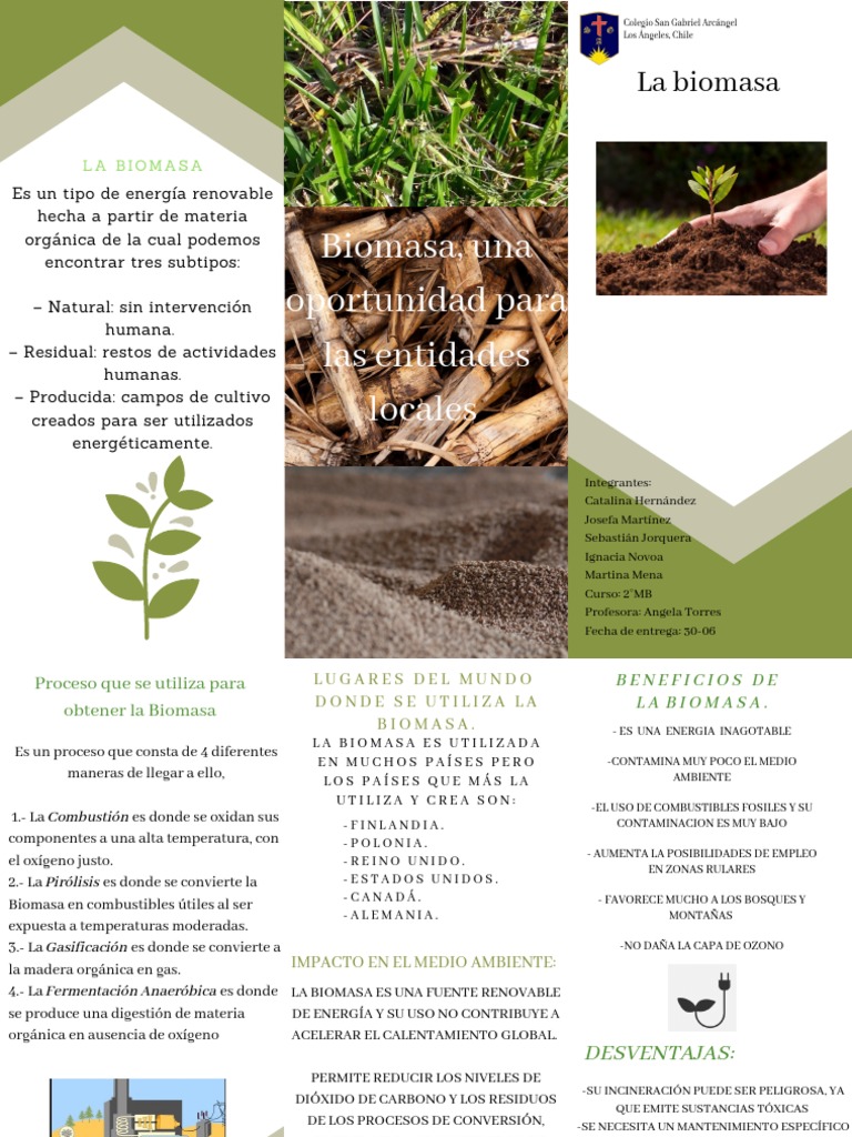 Tríptico de La Biomasa | PDF | Biomasa | Energía renovable