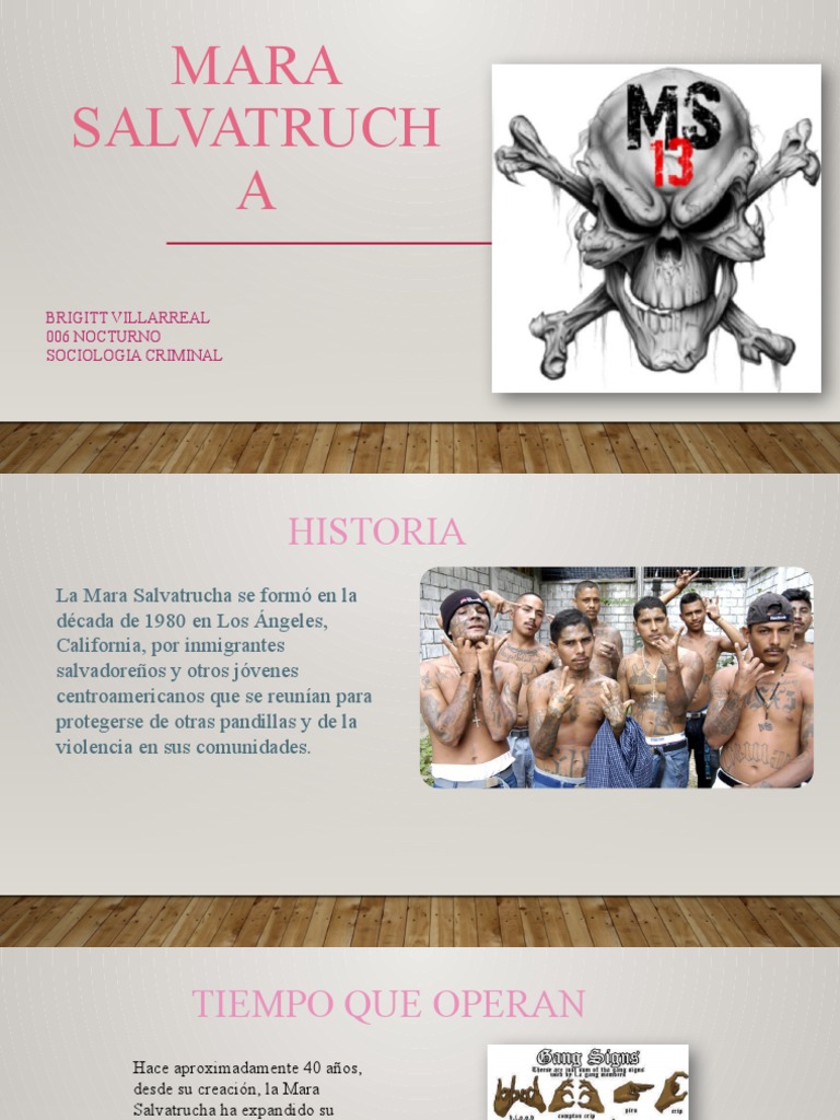 Mara Salvatrucha Pdf