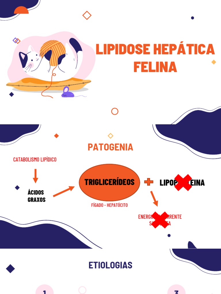Lipidose Hepática Felina | PDF