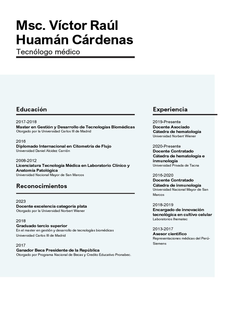 cv resumen victor huaman | PDF