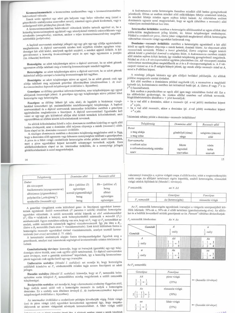 Ötösöm Lesz Genetikából, KÖNYV | PDF