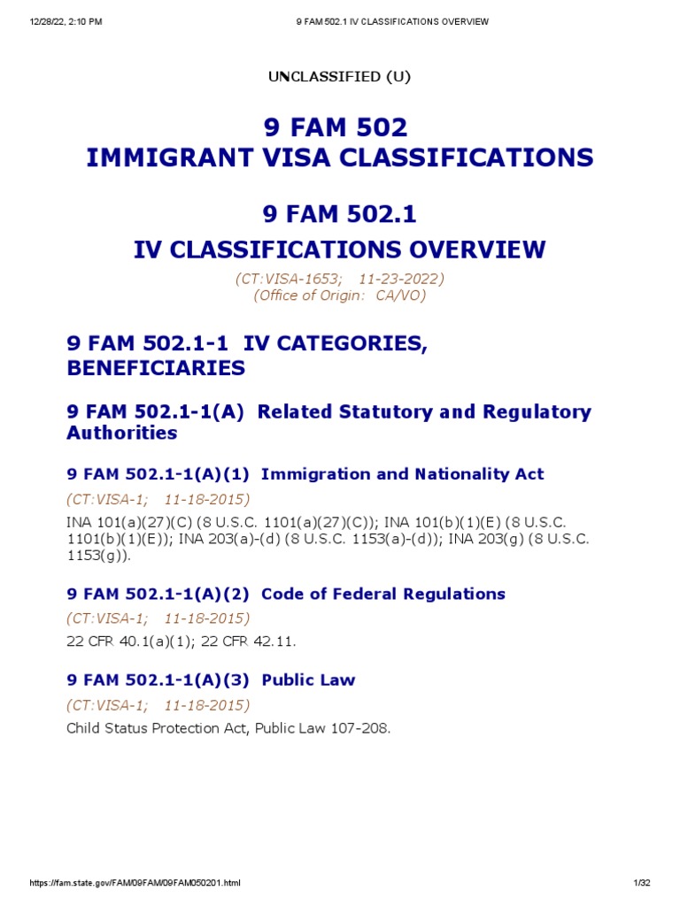 9 Fam 502.1 Iv Classifications Overview | PDF
