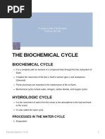 Biogeochemical Cycles Answer Key | PDF | Science & Mathematics ...
